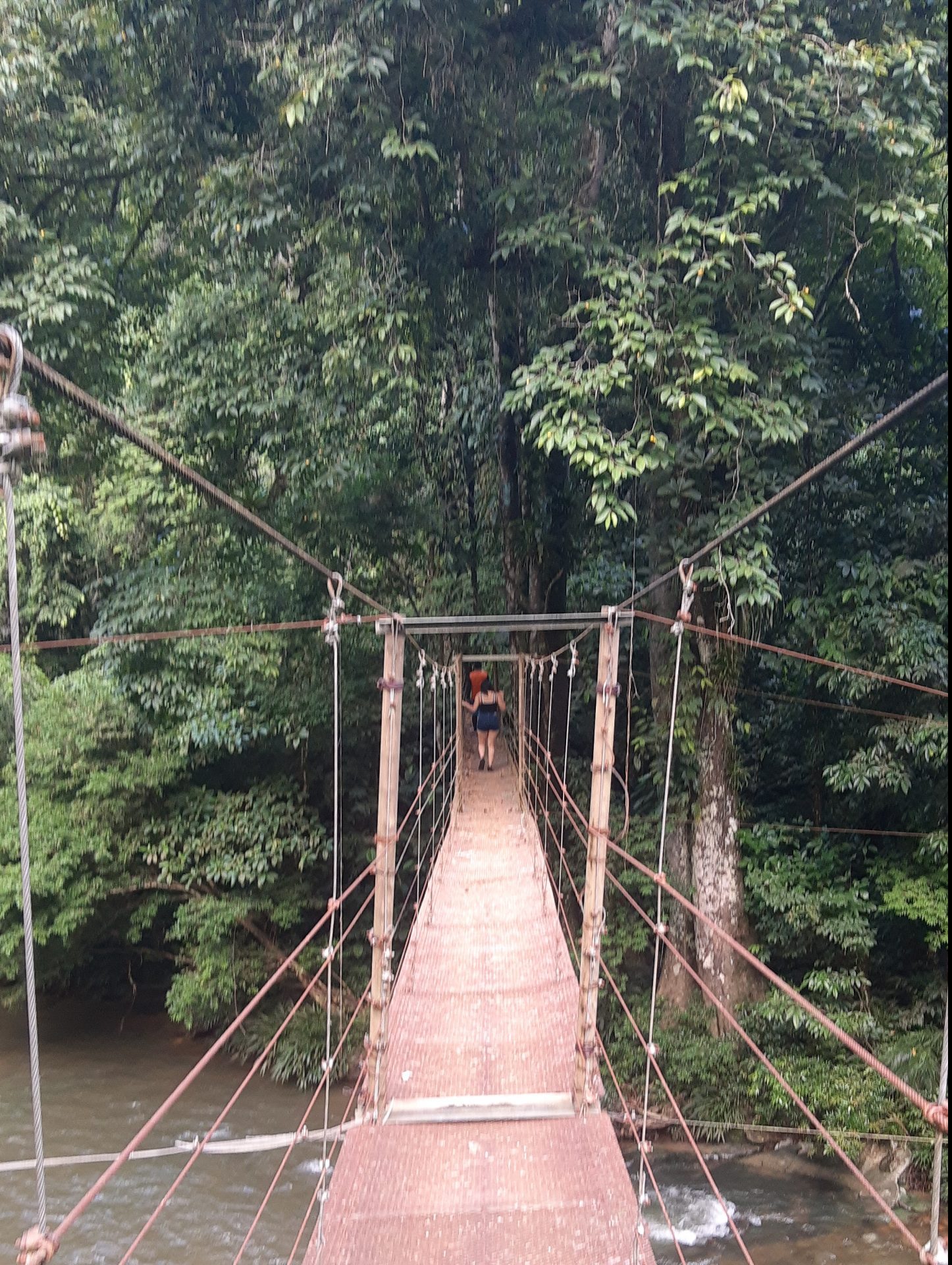 Doradal y Río Claro 3 días - Agencia de viajes